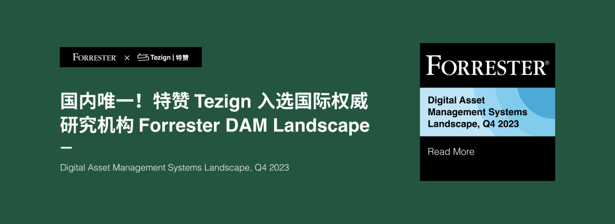 国内唯一！特赞 Tezign 入选国际权威研究机构 Forrester 最新 DAM 报告 | 极客公园