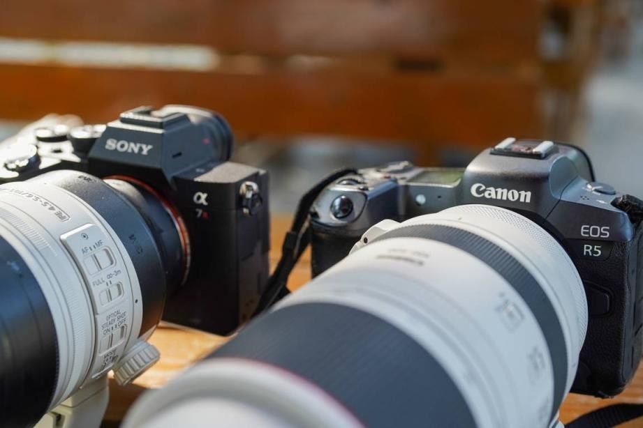 谁更适合拍生态？ EOS R5与A7R4野生动物园游记 | 极客公园