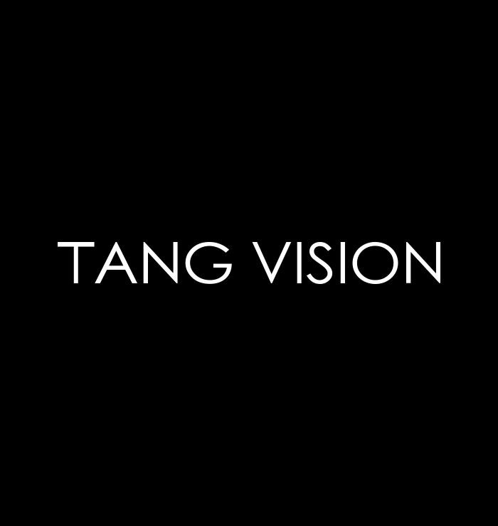 异地快剪无需奔波！索尼 ICE-Cloud 助力 TANG VISION 打造婚礼旅拍高效新流程 | 极客公园